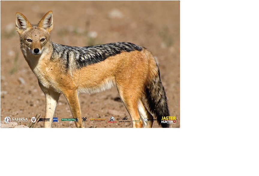 Targets- - Sa Hunting Rifle