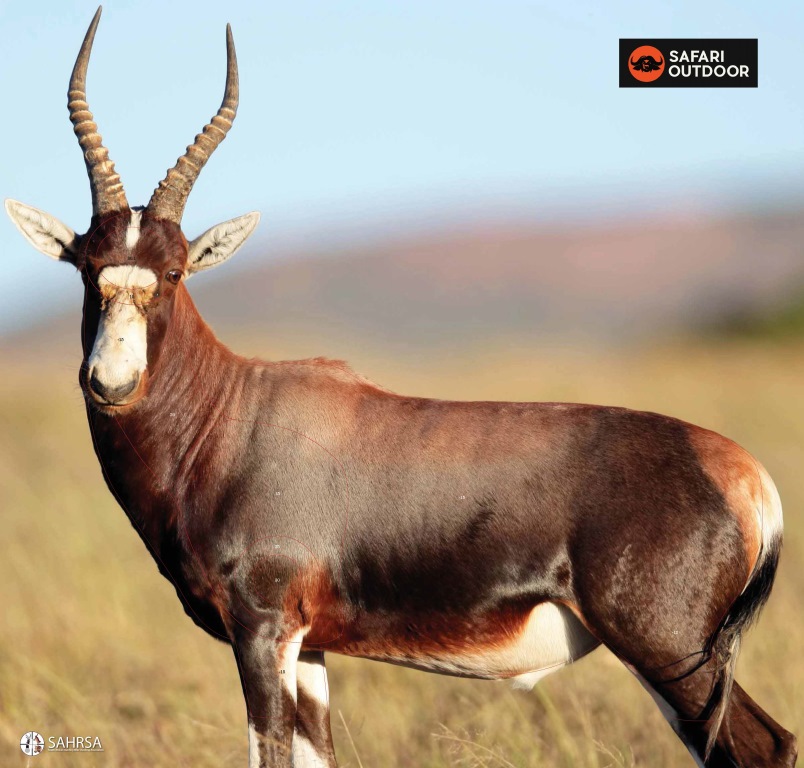 Targets- - Sa Hunting Rifle